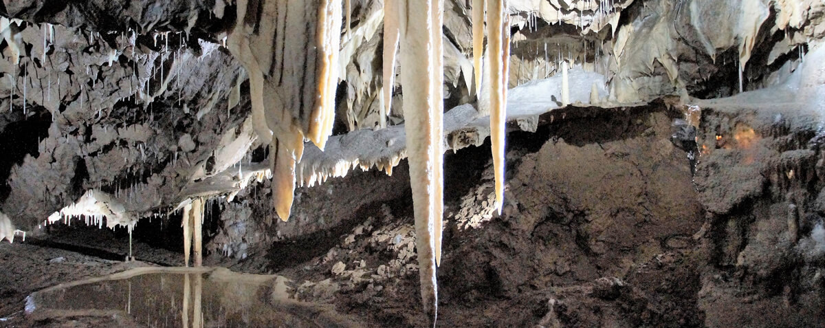 Gift Membership - American Cave Conservation Assoc.