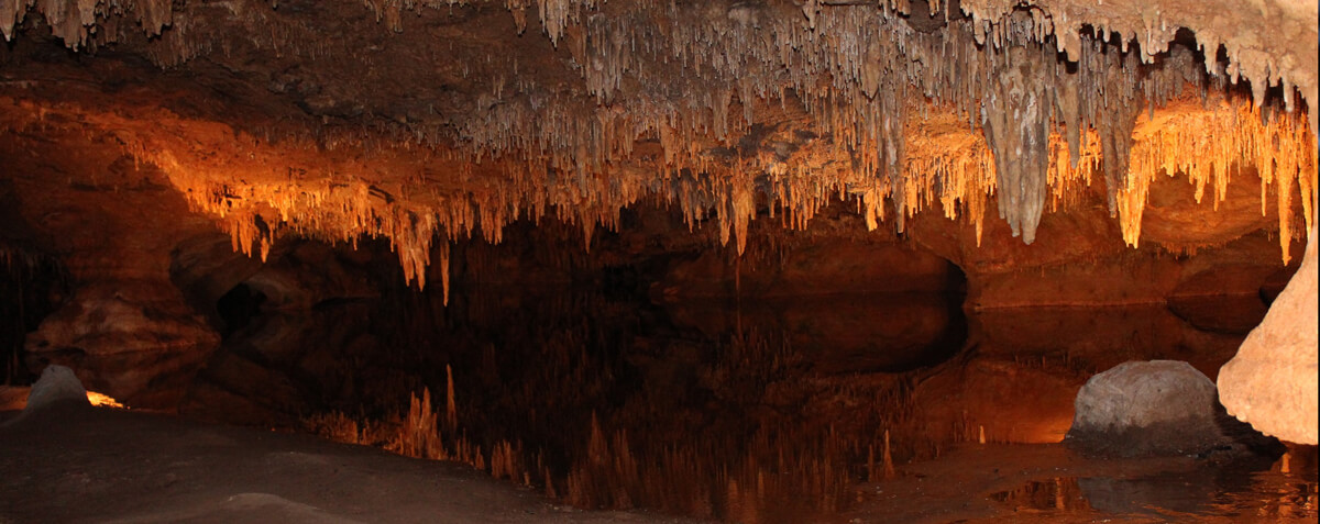 Membership: Become a Member or Renew! - American Cave Conservation Assoc.