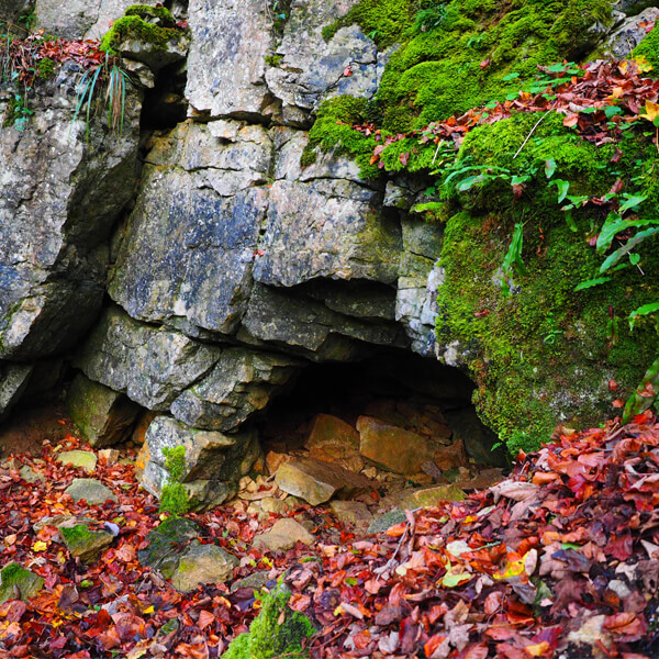 What is Karst? - American Cave Conservation Assoc.